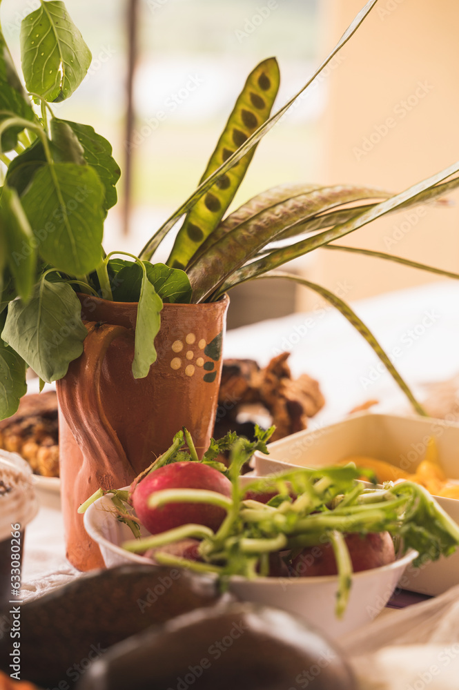 Papalo, guajes, radishes, avocados and manzanos chiles, ingredients of ...