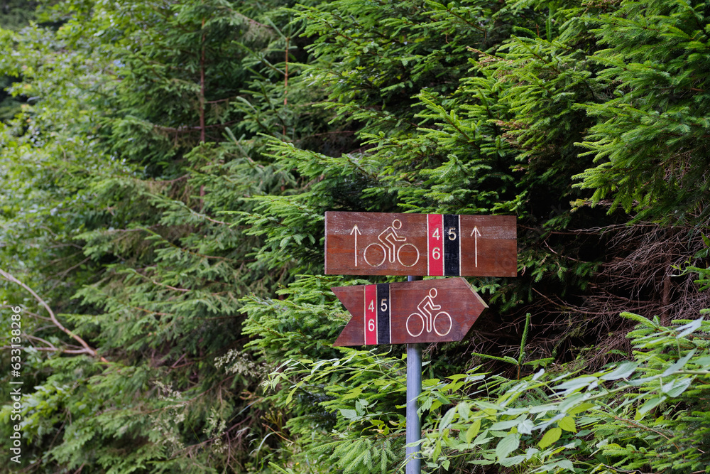 Cycling route direction arrow sign in the forest. Cycling sign in the ...