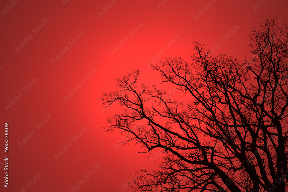 Leafless Oak tree branches silhouette. Black and red. Natural oak tree ...