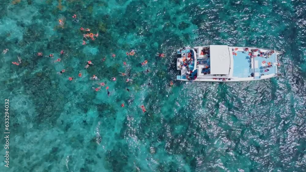Overhead View Of People Swimming And Snorkeling In The Clear Water Of Catalina Island In ...