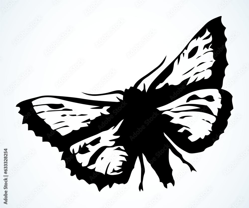 Night butterfly. Vector drawing icon Stock Vector | Adobe Stock