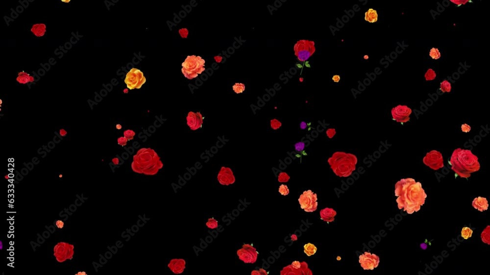 Rose flower falling. Flower particles overlay. Rose flying. Seamless ...