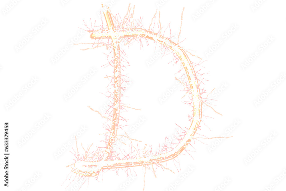 Digital png illustration of sparkling letter d on transparent ...