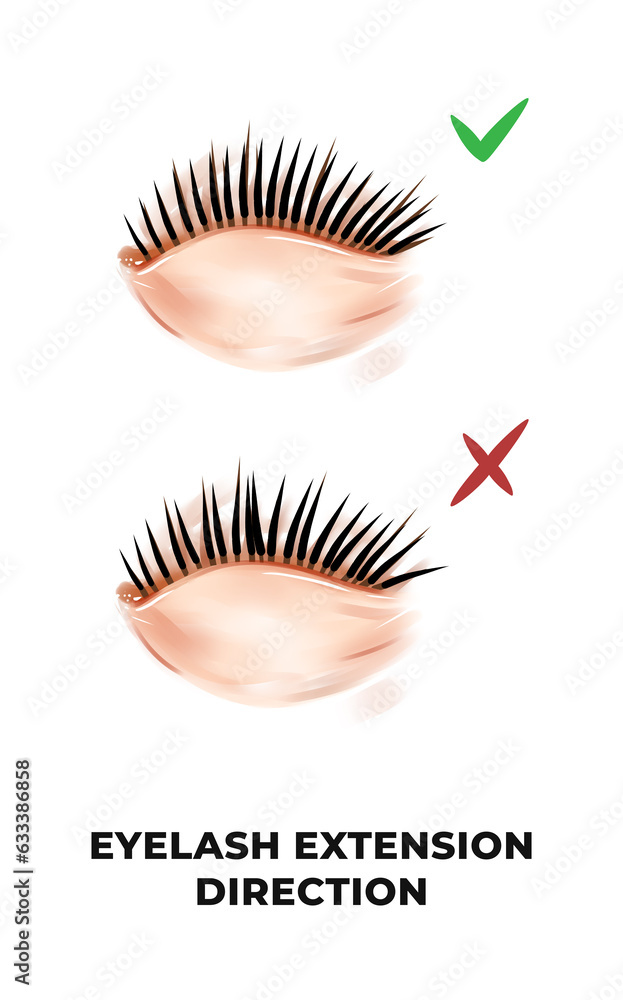 Volume Eyelash Extension Application and Style Guide. Direction look ...