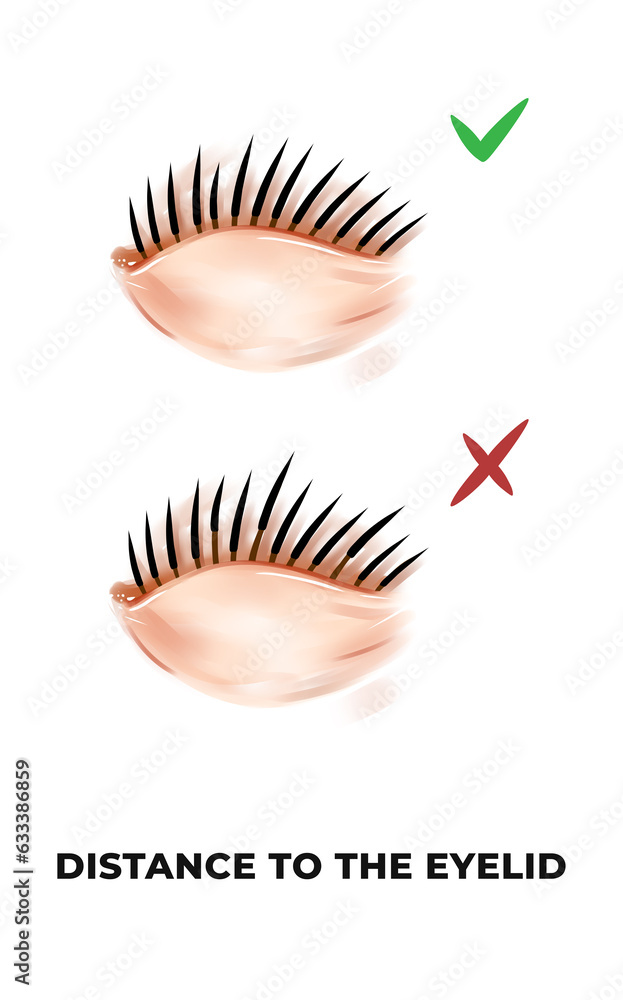 Obraz Volume Eyelash Extension Application and Style Guide. Direction ...