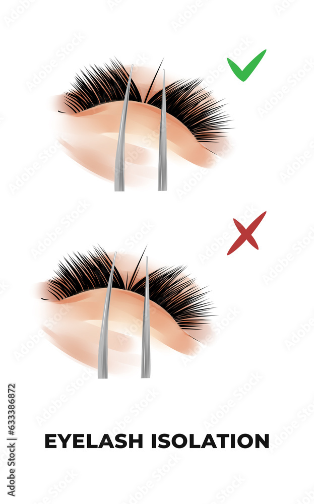 Volume Eyelash Extension Application and Style Guide. Direction look ...