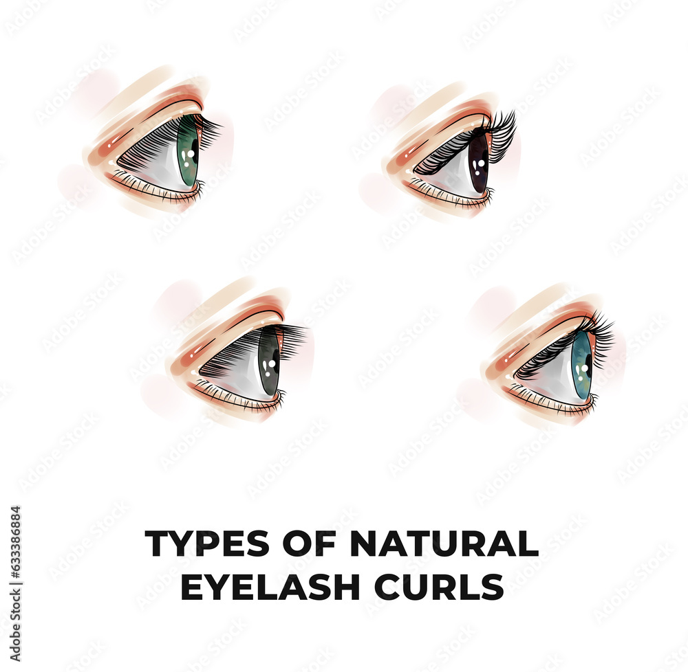 Volume Eyelash Extension Application and Style Guide. Direction look ...