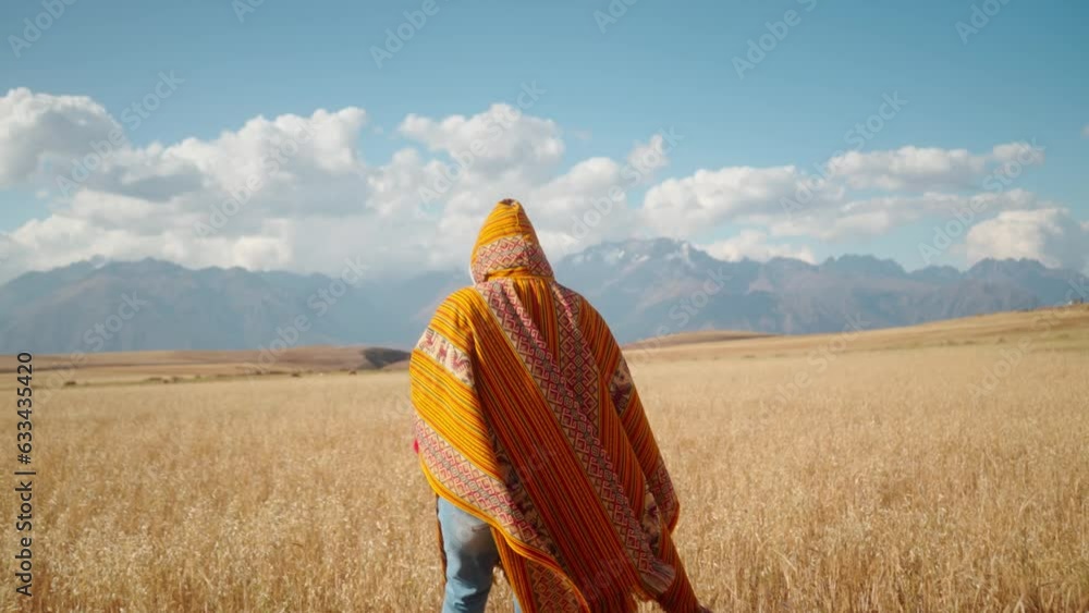 Persona caminando con traje tipico perúano en cultivo de trigo con ...