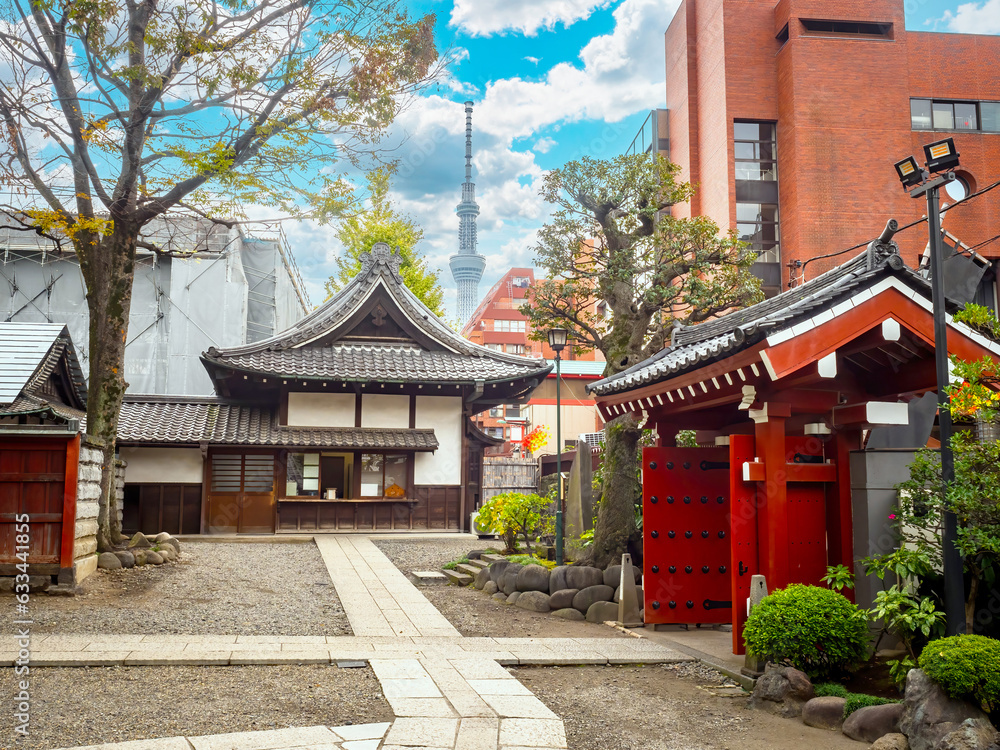 Streets of Tokyo. City in Japan. Cityscape with low-rise buildings ...