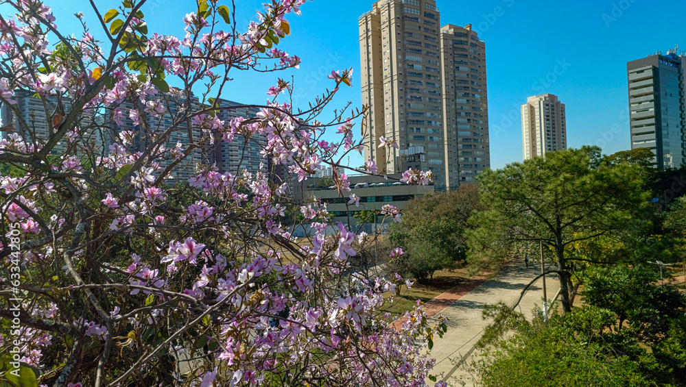 Zona sul de São Paulo. Nossa praça, Parque Burle Marx, Marginal ...