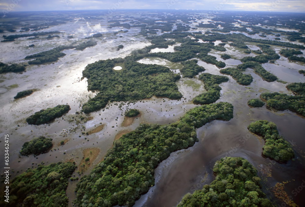 Lagoons and an elevated forest during the wet season in the Pantanal ...