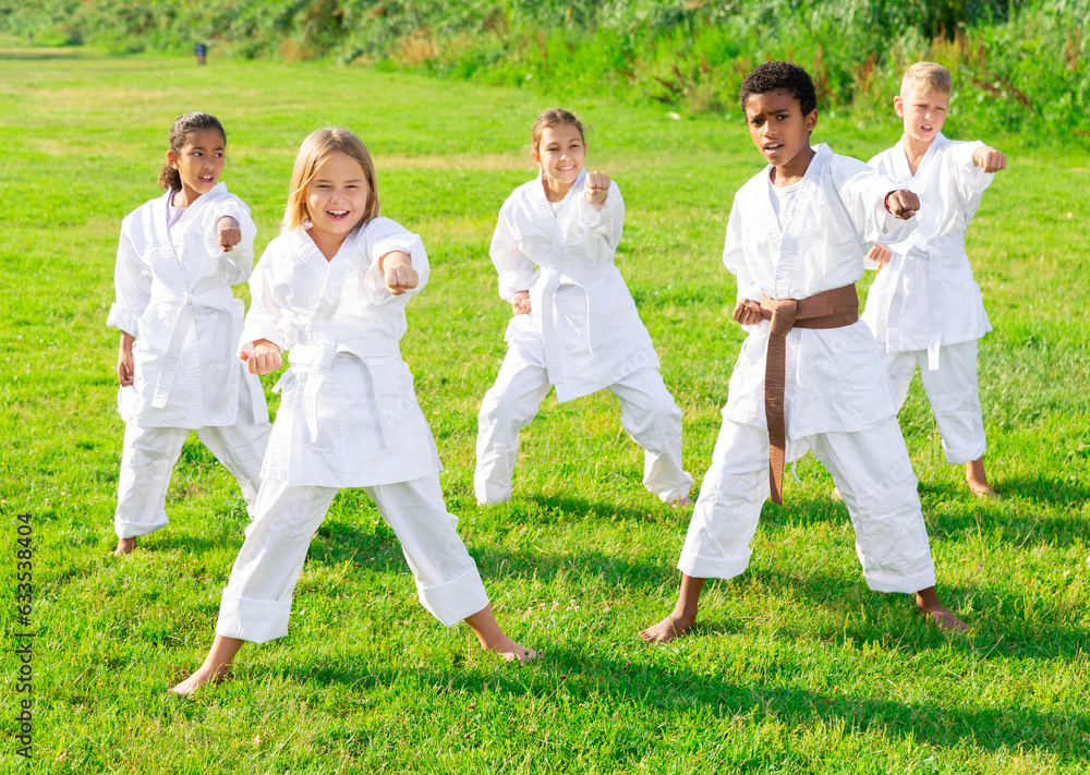 Barefoot kids doing kata during outdoor karate training. Stock Photo ...