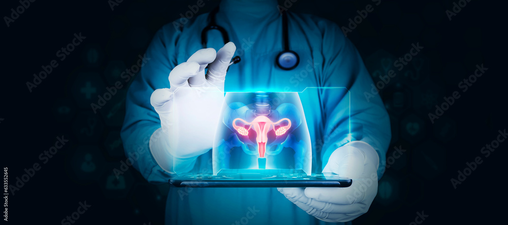 doctor holds a tablet, shows a woman's pelvis x-ray. Uterus. Female ...