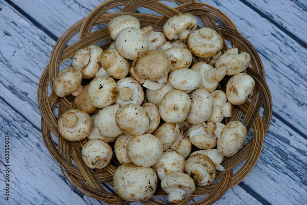 Button mushrooms, compost mushrooms or champignons are food mushrooms ...