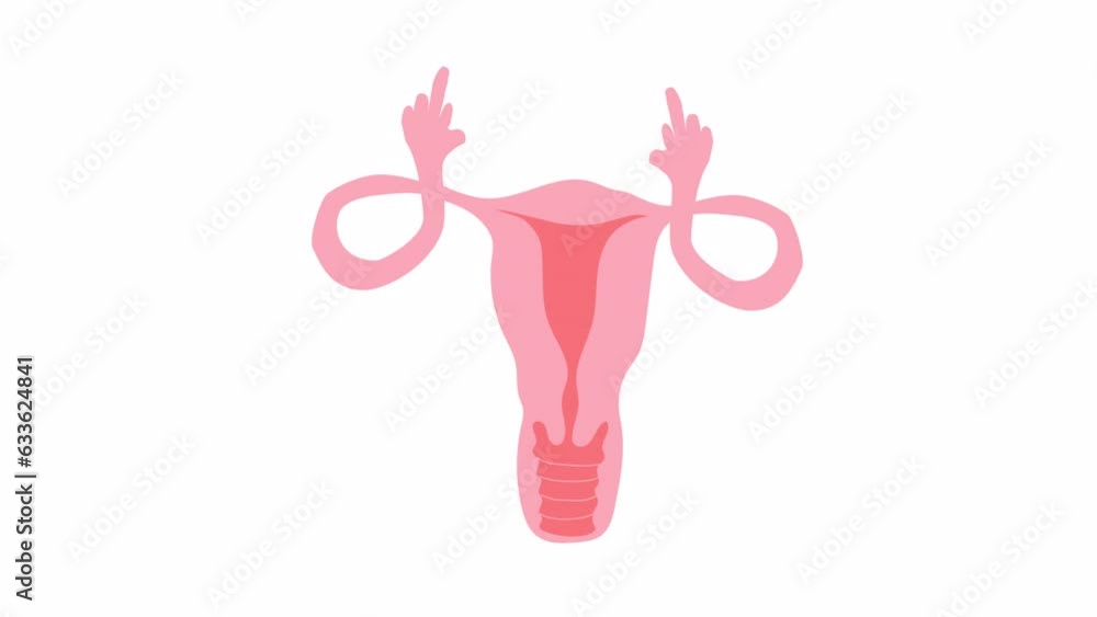 Funny mascot organ character female reproductive system uterus cervix ...