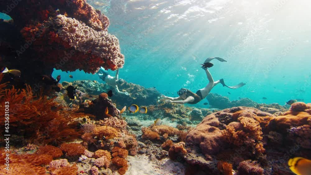 Couple freediving. Young fit freedivers man and woman swim underwater ...
