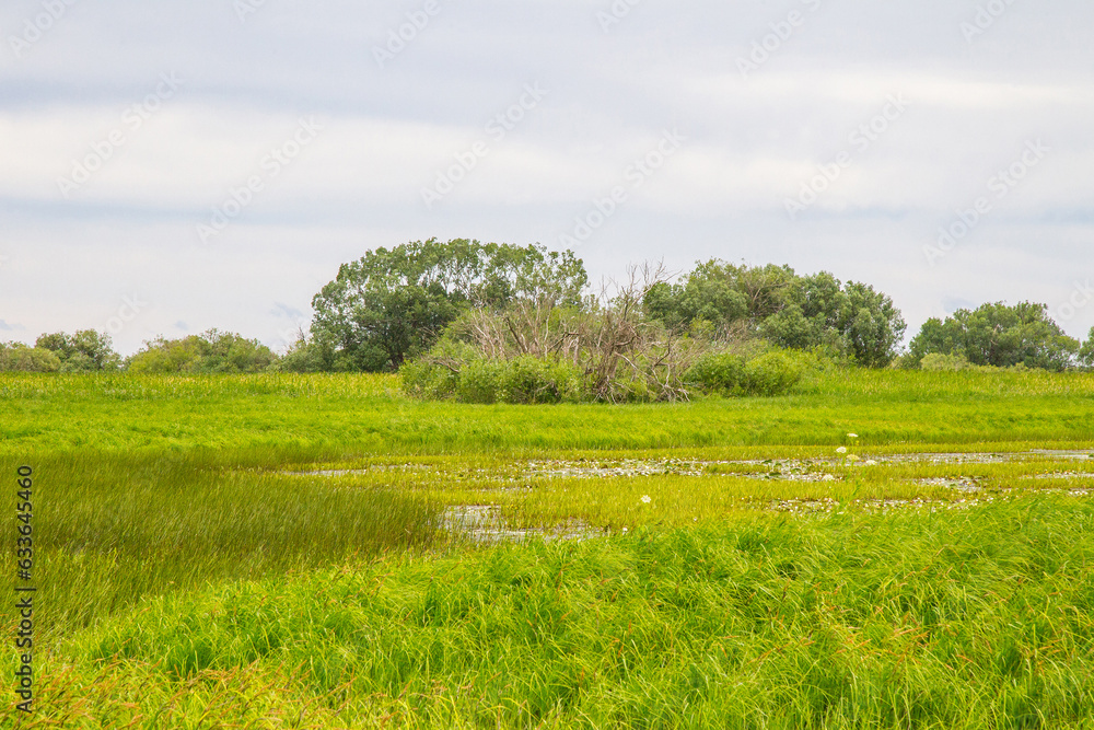 Deep pool, broad after flooding, flood meadows in flat river valley ...