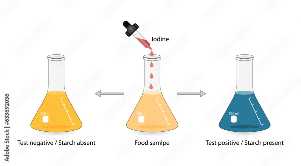 Poster Iodine test for starch, chemical experiment – Wall Art | UkPosters