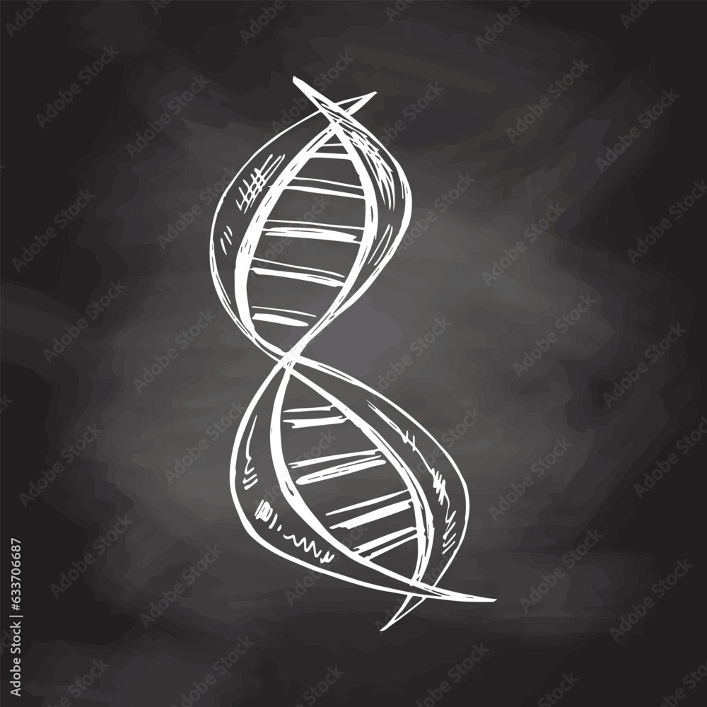 Vector hand-drawn school Illustration. Detailed retro style .dna chain ...