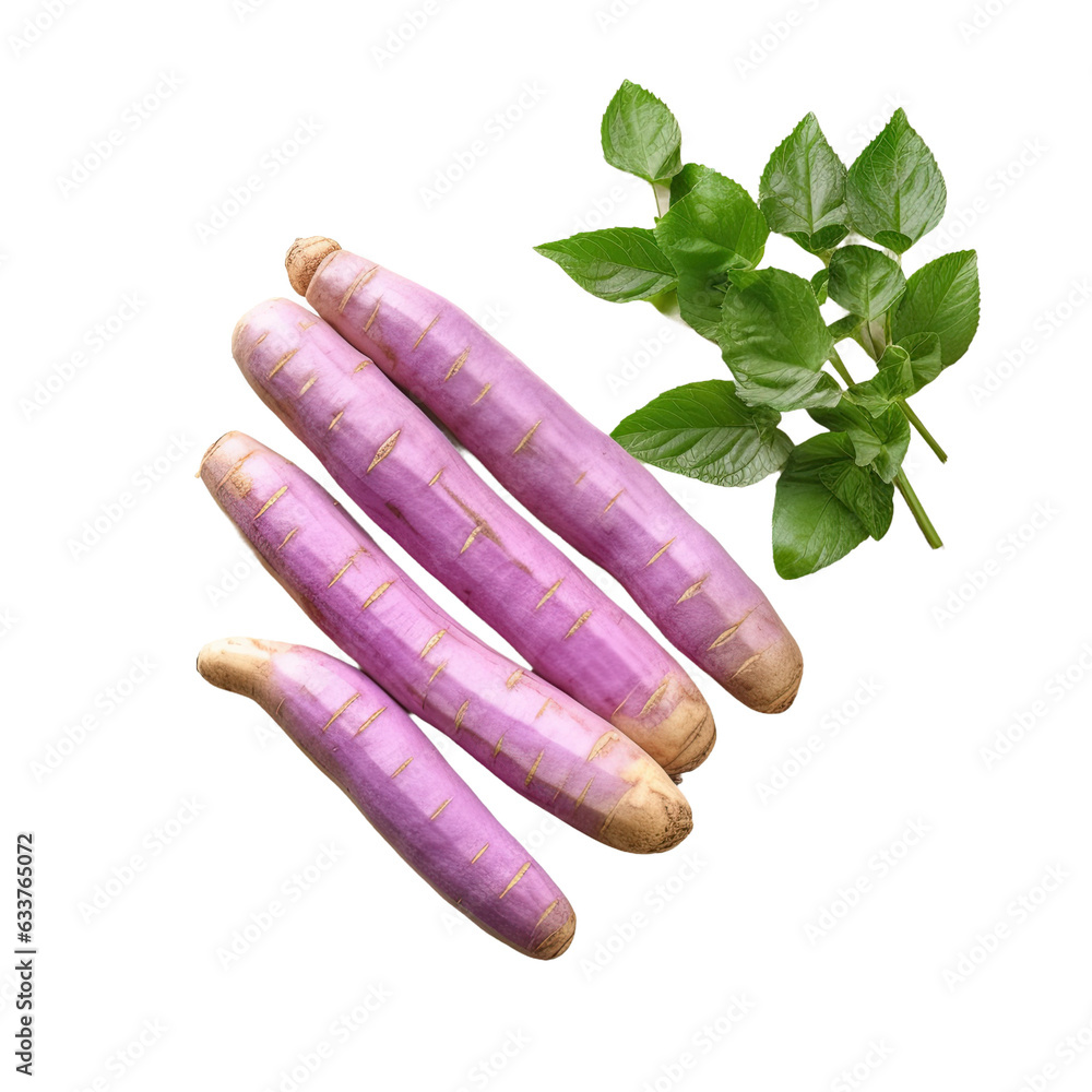 Foto de Taro Talas belitung kimpul or bentul are edible starchy tubers ...