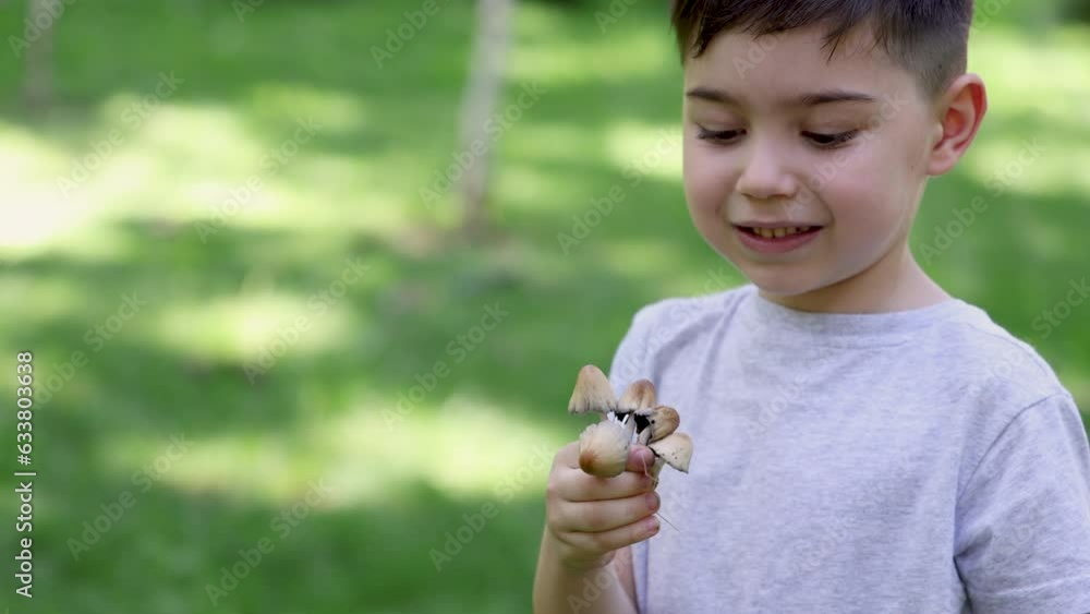 kid collecting in park poisonous mushrooms or stepping walking on them ...