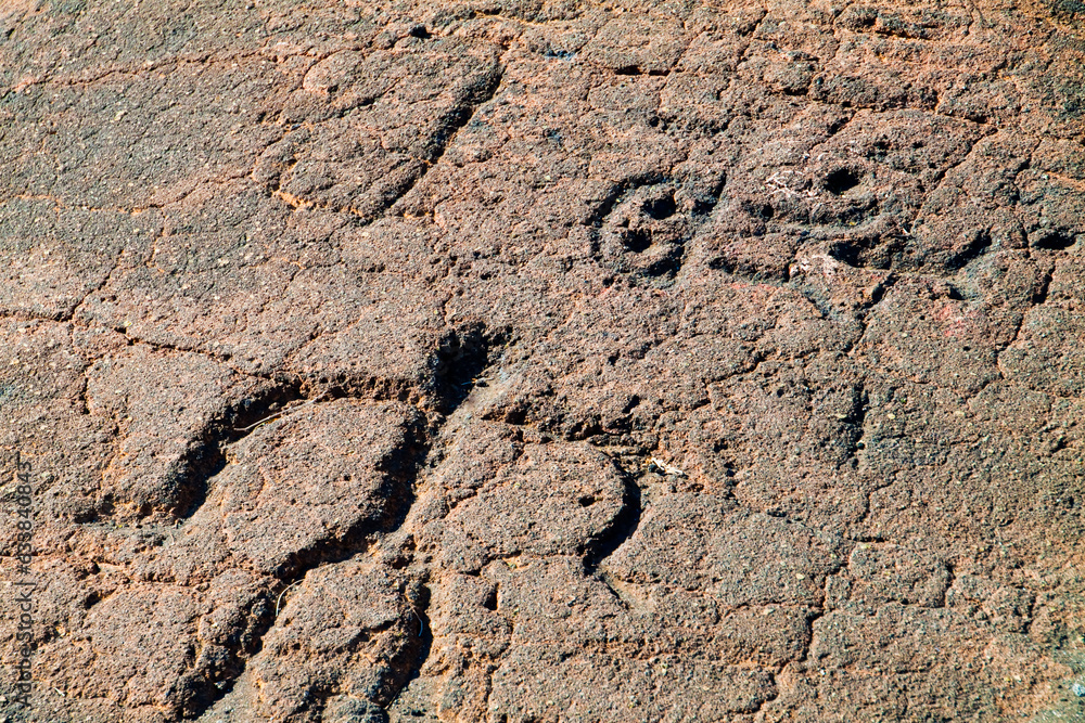 Ancient Native Hawaiian Rock Carvings Etched In Stone at Puako ...