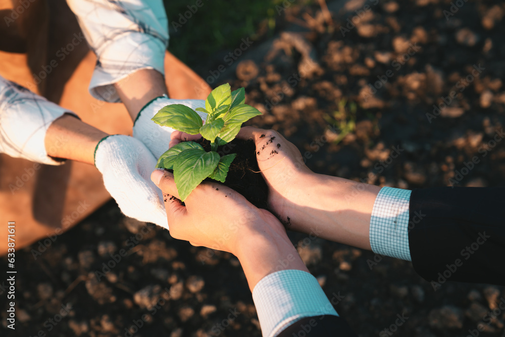 Eco-business company empower farmer with eco-friendly farming practice ...