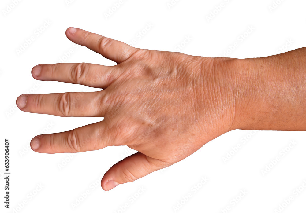 Closeup and top view of hand on transparent background. Stock Photo ...