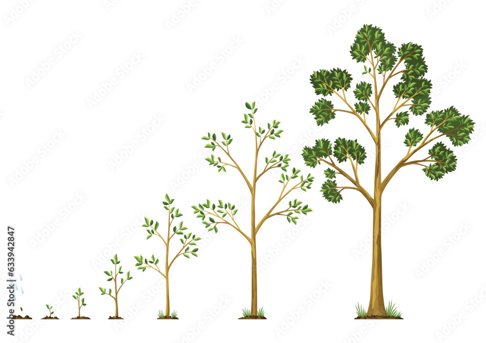 Stages growth of tree from seed. Watering the seeds from cloud rain ...