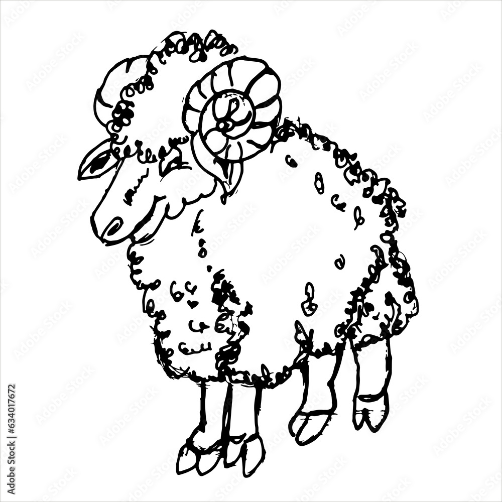 Cartoon ram hand drawn isolated on white background Stock Vector ...