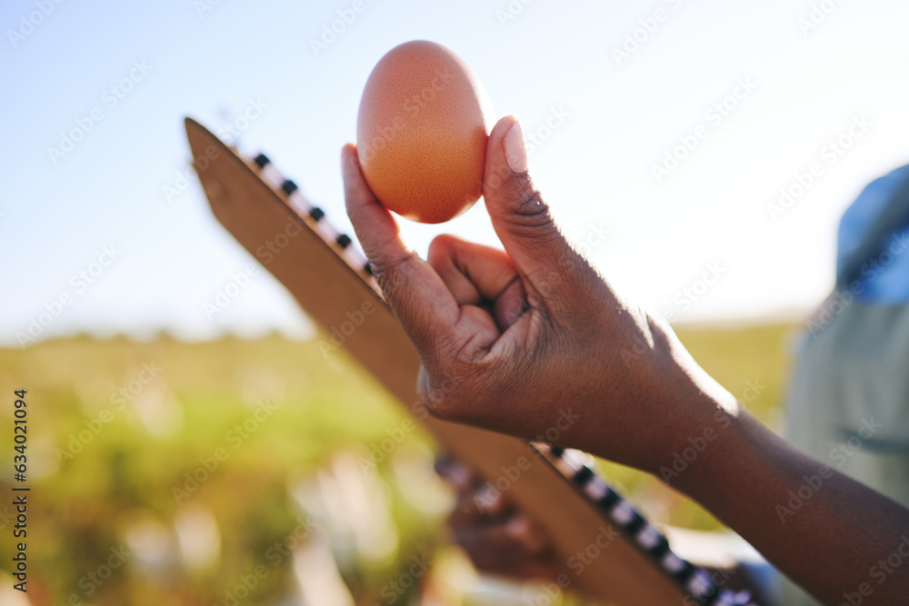 Hand of farmer in field with chickens, clipboard and egg, quality ...