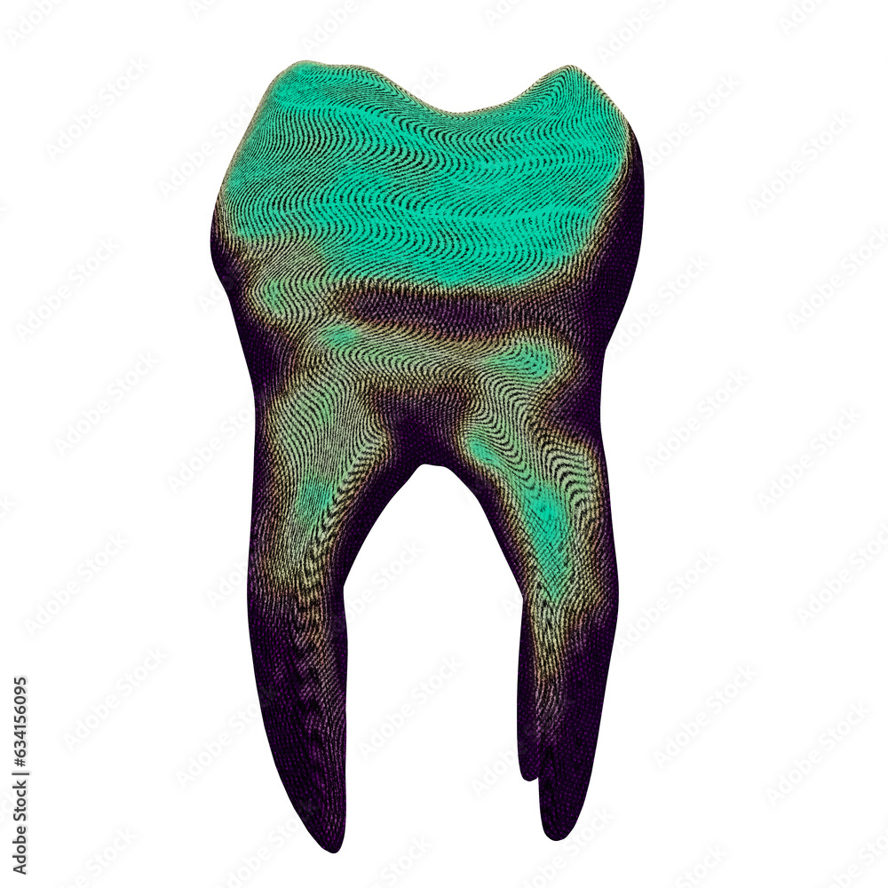 Human anatomy scientific illustrations: teeth. Teeth sketch. Hand drawn ...