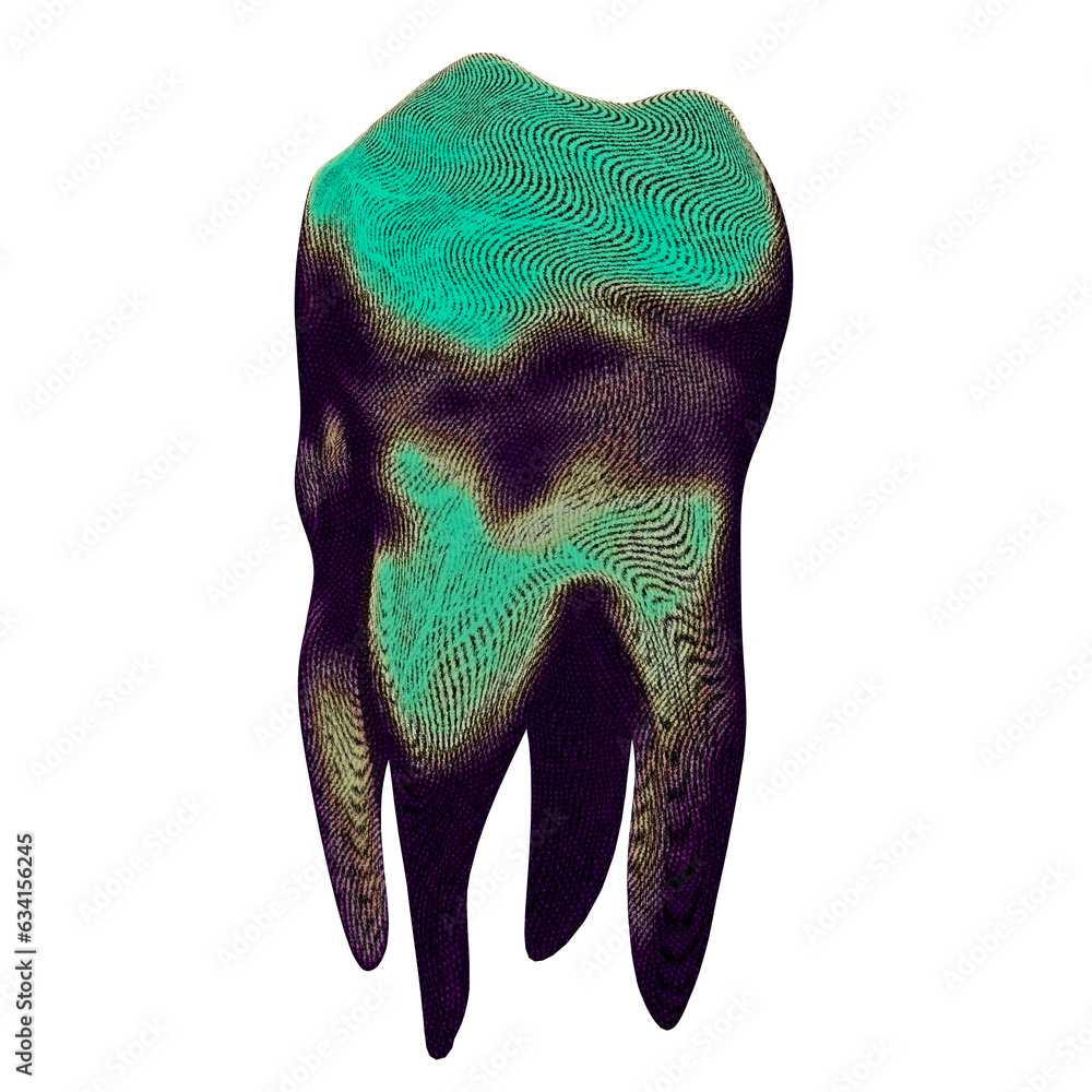 Human anatomy scientific illustrations: teeth. Teeth sketch. Hand drawn ...