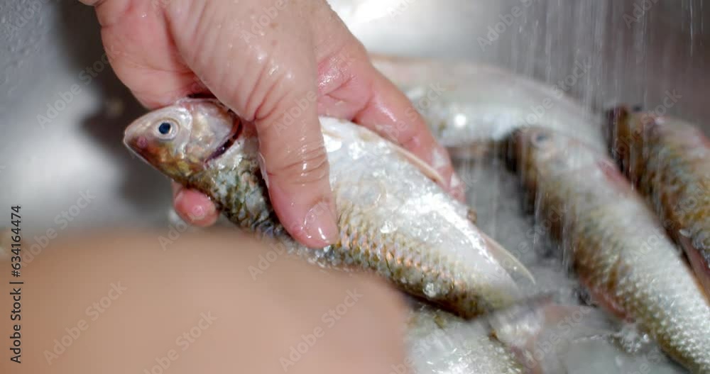 Removing fish scales using knife on sink.A Thailand housewife cooking ...