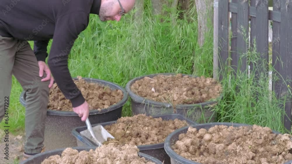 Stockvideo young man scoops up horse dung, manure, horse apples, in ...