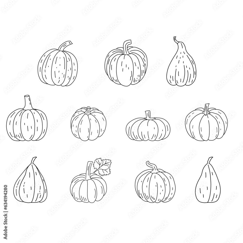 Pumpkin doodle line art. Coloring page element. Harvest Thanksgiving ...