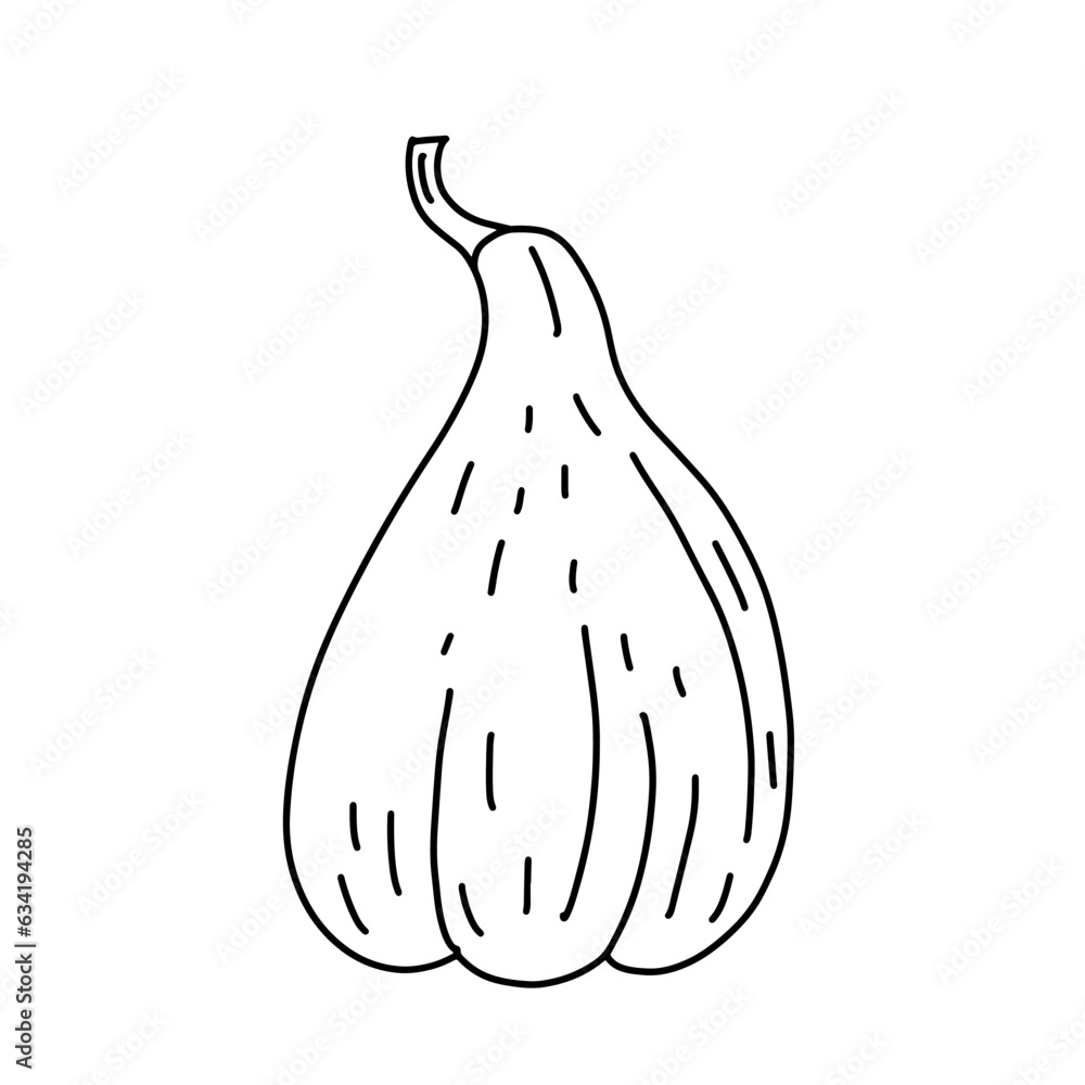 Pumpkin doodle line art. Coloring page element. Harvest Thanksgiving ...