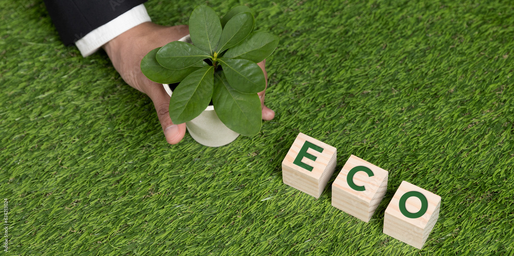 Top view businessman holding plant pot with ECO cube symbol. Forest ...