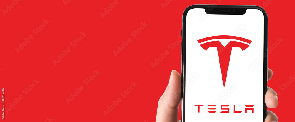 In this illustrative photo you can see the logo of Tesla Inc. on screen ...