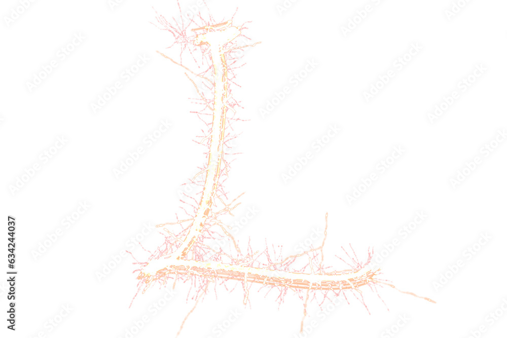 Digital png illustration of letter l text written with sparkler on ...