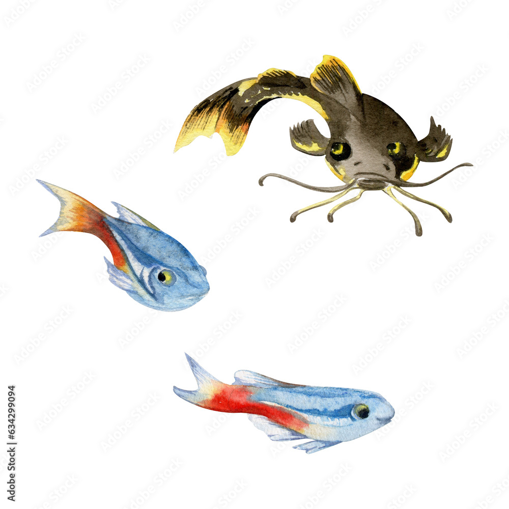 Hand drawn watercolor aquarium tropical tetra fish catfish sealife ...