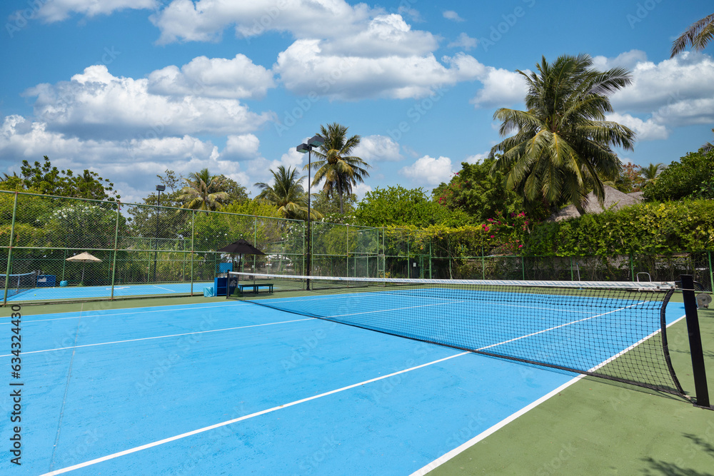 Amazing sport and recreational background. Blue tennis court on ...