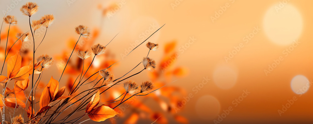 Immerse yourself in the coziness of autumn with this warm background ...