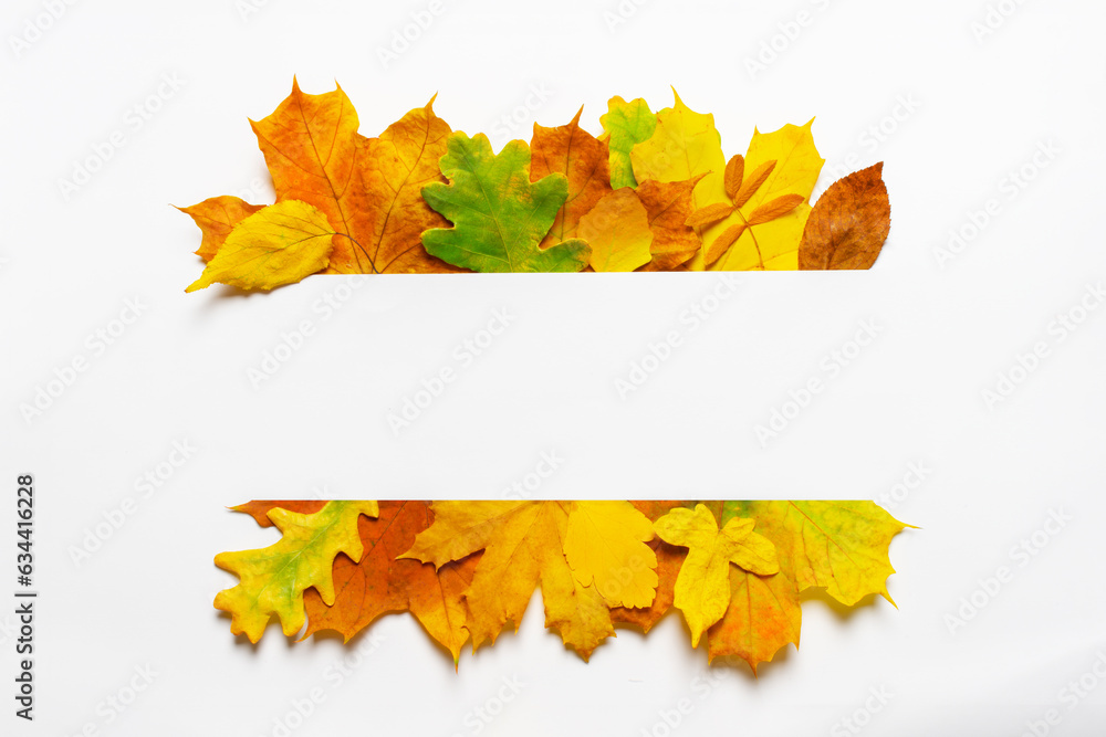 Blank autumn invitation card thanksgiving background. Flat layout fall ...