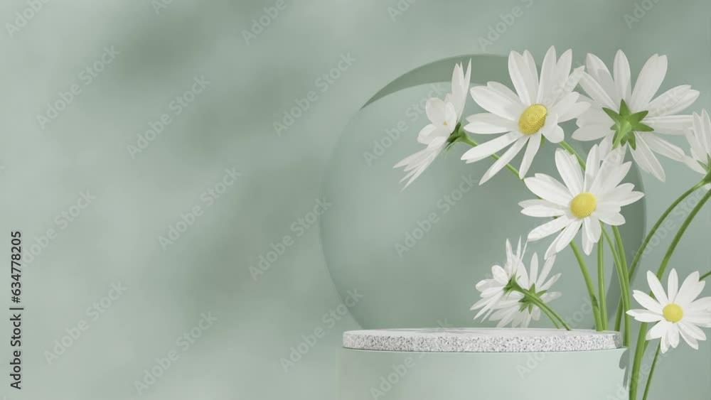 seamless shadow animation looping with daisy flower and round hole wall ...