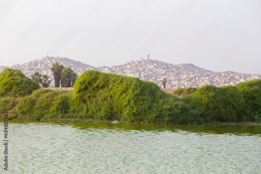 Villa swamp wetlands, is an ecosystem suitable for diverse populations ...