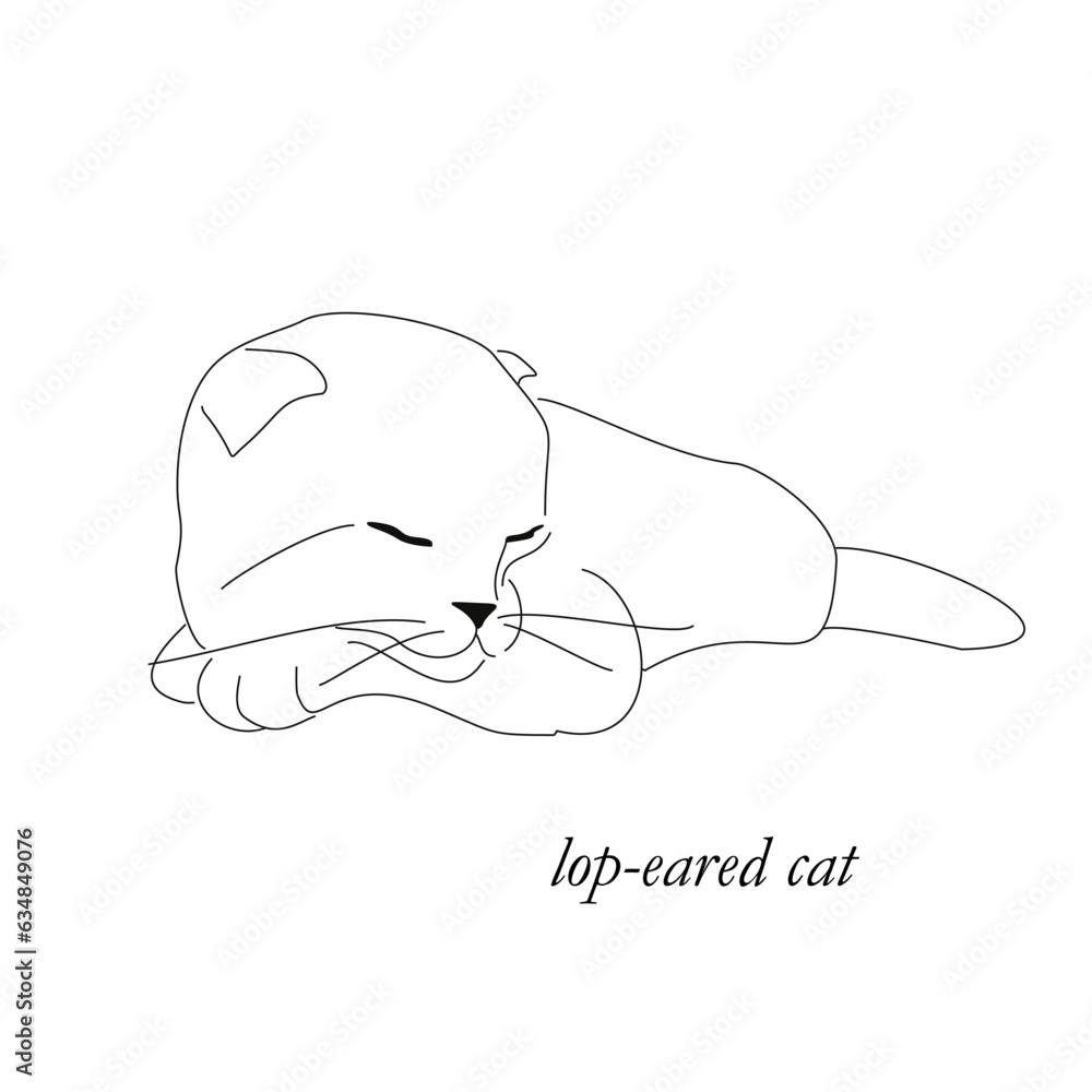 Cute sketch drawing of a playing cat. Linear drawing of a pet. Stock ...