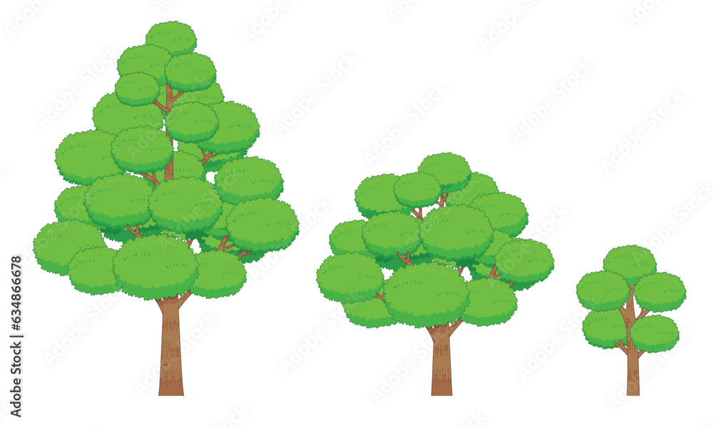 Collection Of Trees From Small To Large Green Tree, Three stages of ...