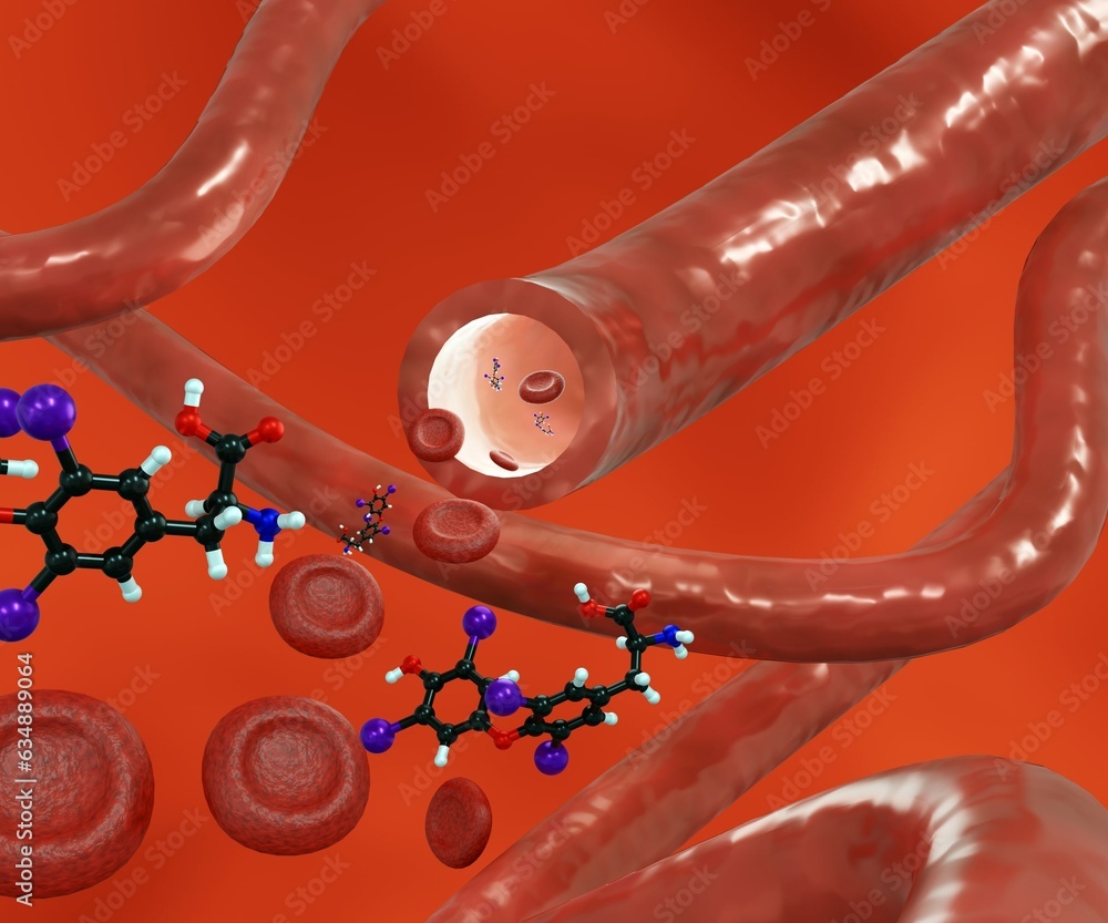 thyroxine or t4 hormone molecule and red blood cells inside of blood ...