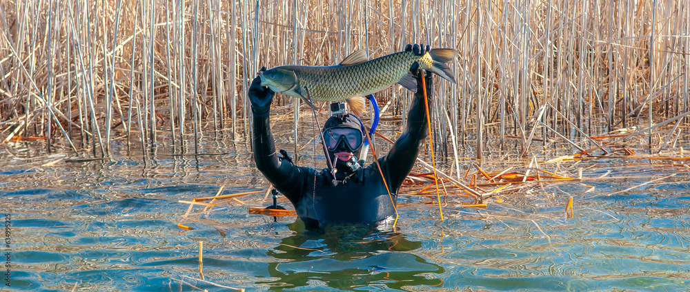 The fisherman holds the caught fish. Fishing underwater. Spearfishing ...